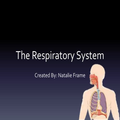 The respiratory system | PPT