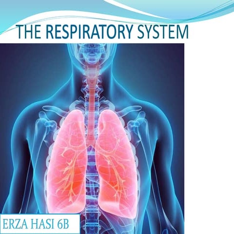 The respiratory system | PPT