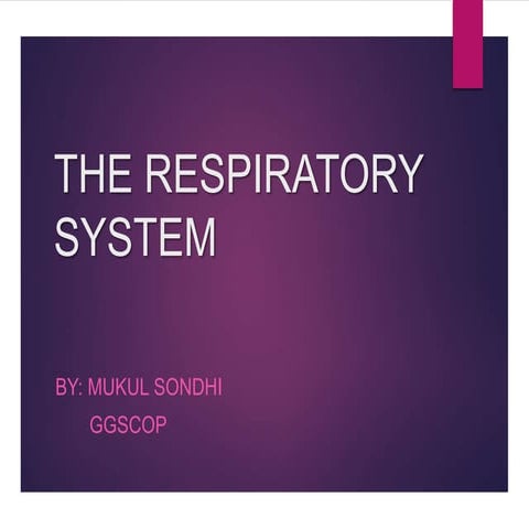 The respiratory system | PPT