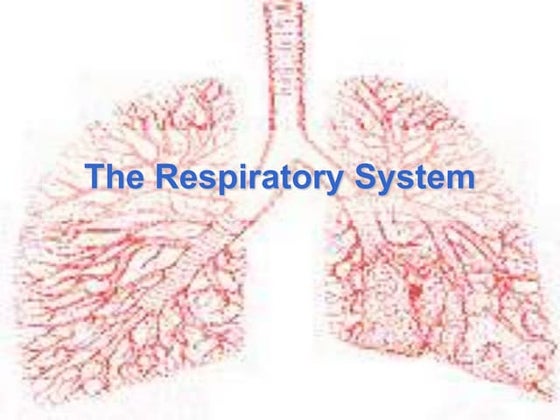 Parts and Function of Respiratory System - Grade 9 Science | PPTX