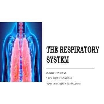 THE RESPIRATORY SYSTEM.pptx Basic Respiratory system knowledge | PPTX