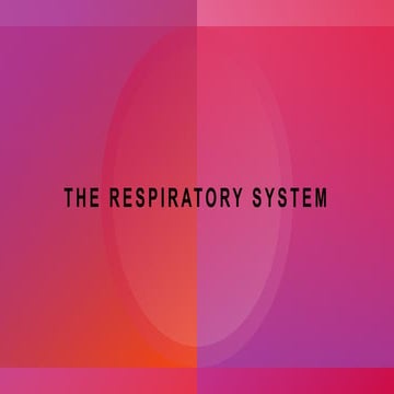 THE RESPIRATORY SYSTEM.pptxx for grade 8 | PPTX
