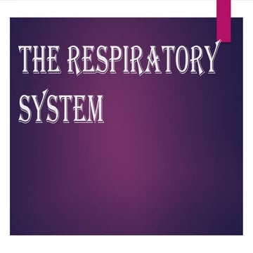 THE RESPIRATORY SYSTEM OF HUMAN BODY ... | PPTX