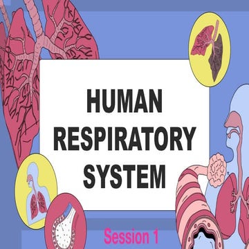 Understanding the Human Respiratory System | PDF