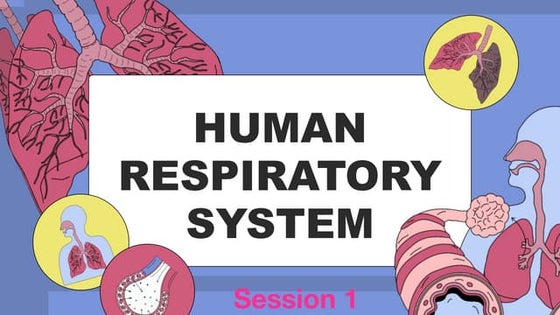 Respiratory_System_Presentation (1) (2).pptx