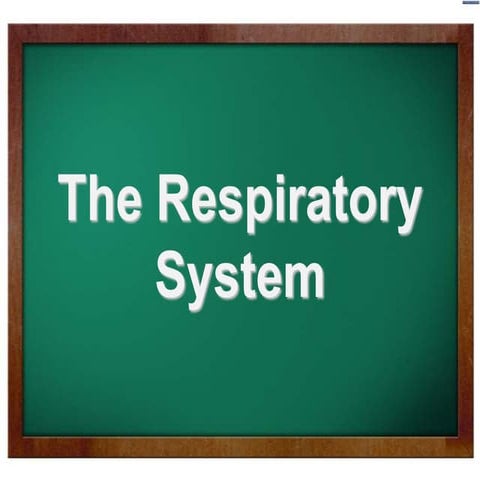 Respiratory System PPT on its Parts and Functions | PPT