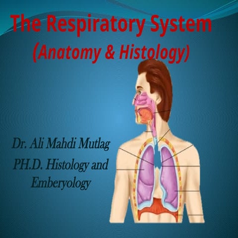 The Respiratory System (Anatomy & Histology).pptx