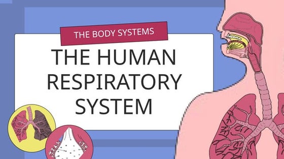The Human Respiratory system for Grade 5 | PPTX