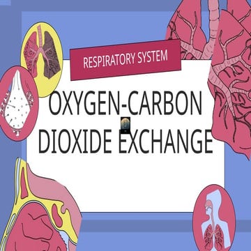 The Respiratory System Gas Exchange.pptx
