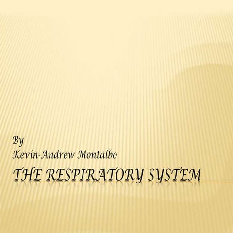 The respiratory system power point | PPT