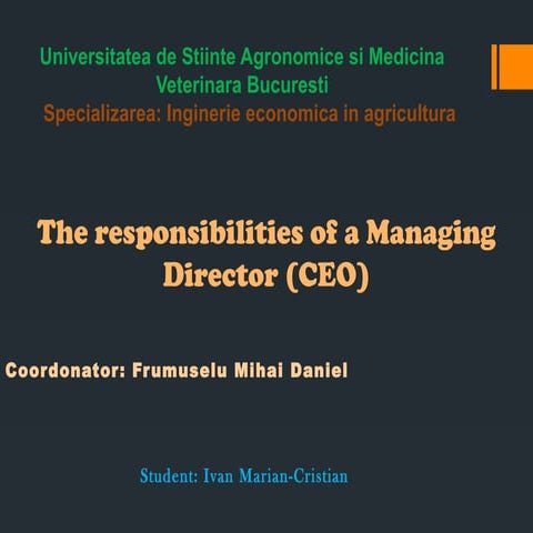 The responsibilities of a managing director (ceo) | ODP