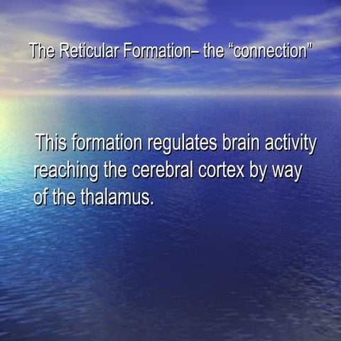 HIS 120 The Reticular Formation: the Connection | PPT