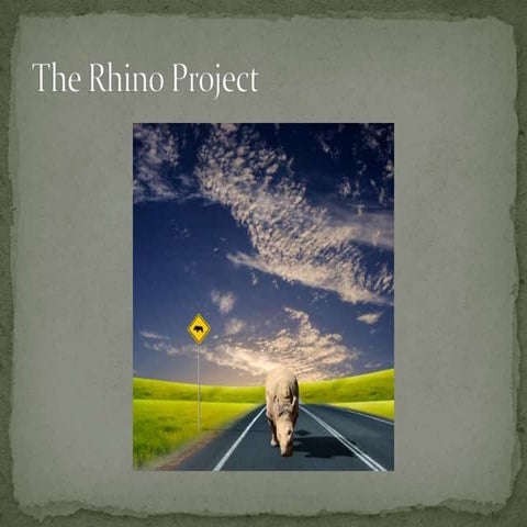 The Rhino Project | PPTX