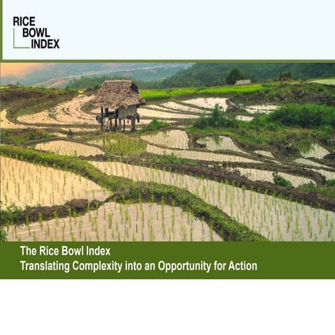 The Rice Bown Index: Using Open Data to help drive sustainable and ...