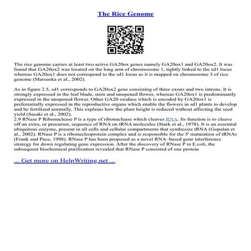 The Rice Genome | PDF