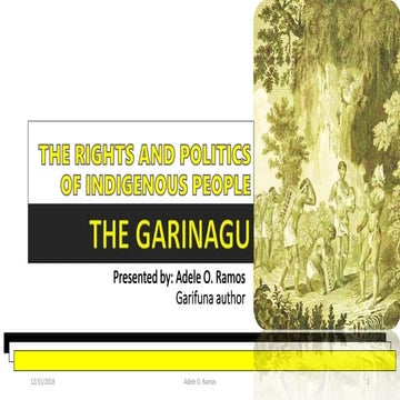 The Rights and Politics of Indigenous People | PPT