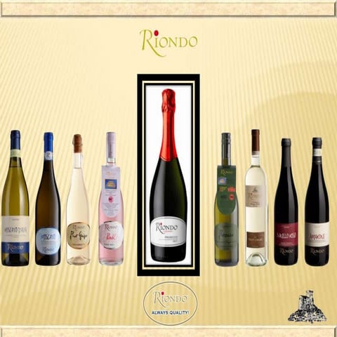The Riondo report 2011 | PPTX