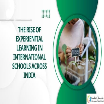 The Rise of Experiential Learning in International Schools Across India ...