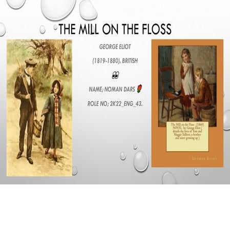 The rise of novel ( the mill on the Floss. by Noman dars..pdf