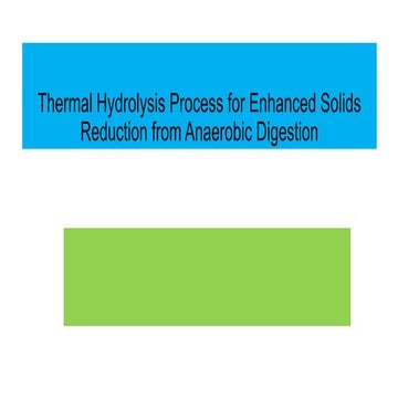 Thermal Hydrolysis - High Temperature and Pressure Cell (1).pptx