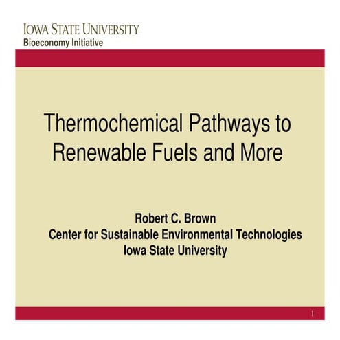 Thermochemical Processing Of Biomass Brown | PDF