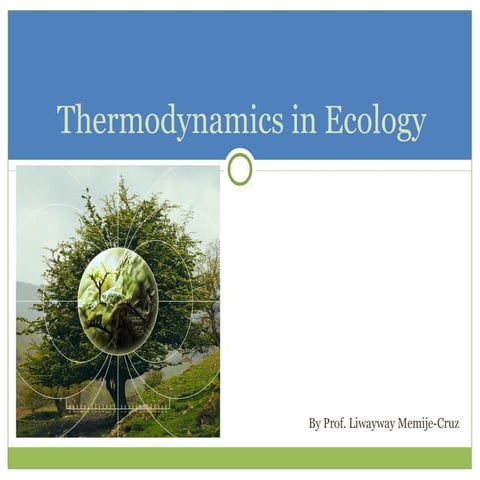 Thermodynamics in Ecology | PPT