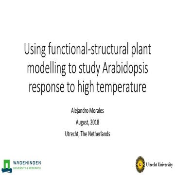 Using functional-structural plant modelling to study Arabidopsis response to high temperature | PPTX