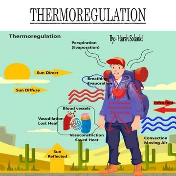 Thermoregulation and thermoregulatory functions in humans and other ...