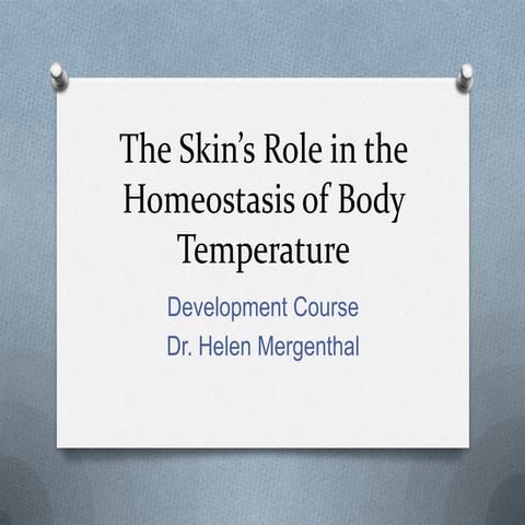 Thermoregulation by the skin | PPT