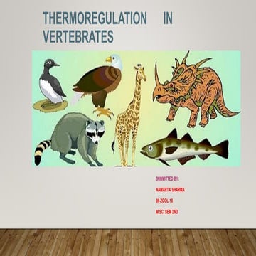 THERMOREGULATION IN VERTEBRATES.pptx