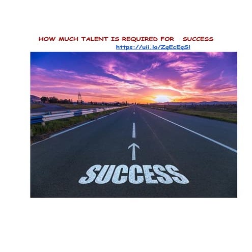 The road to success | PDF