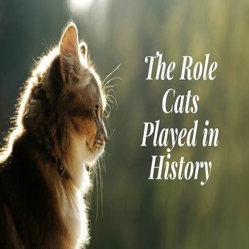 The Role Cats Played in History | PDF
