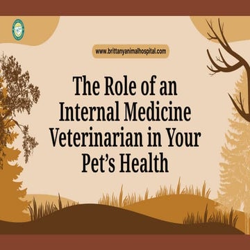 Internal Medicine Veterinarian vs General Vet: What’s the Difference? | PDF