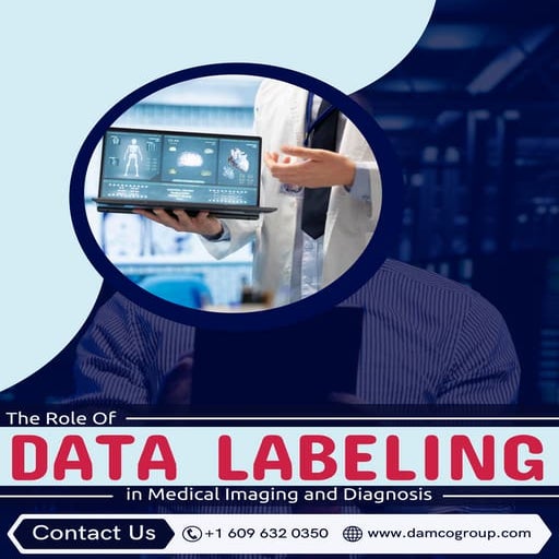 The Role of Data Labeling in Medical Imaging and Diagnosis | PDF
