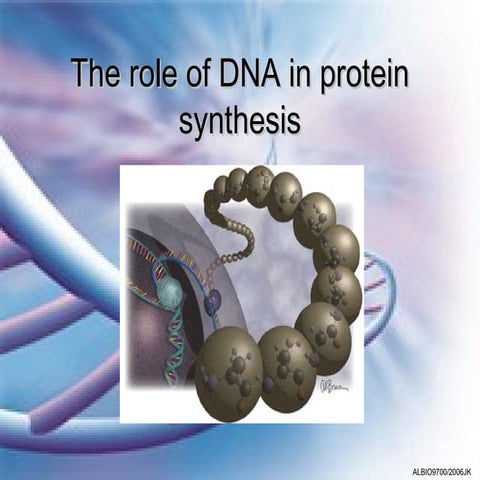 02 The Role of DNA in Protein Synthesis | PPT