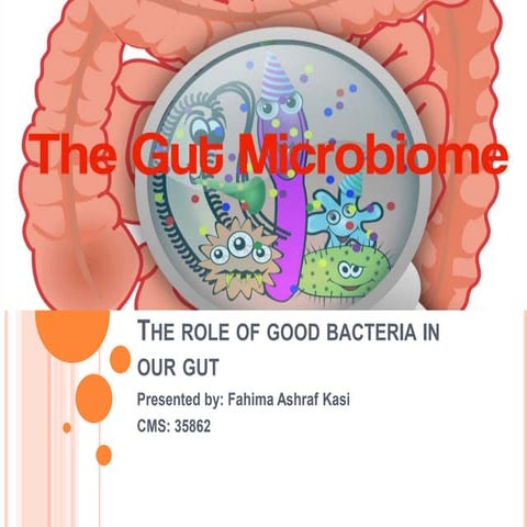 The role of good bacteria in our gut | PPTX