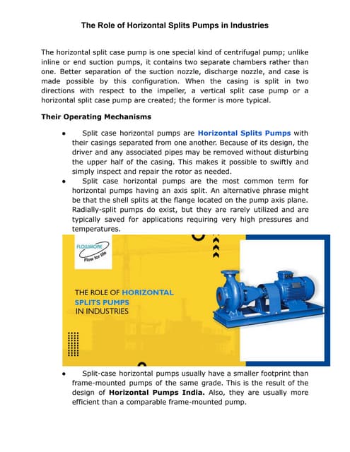 A Complete Guide on Horizontal Splits Pumps | PDF | Home Appliances ...