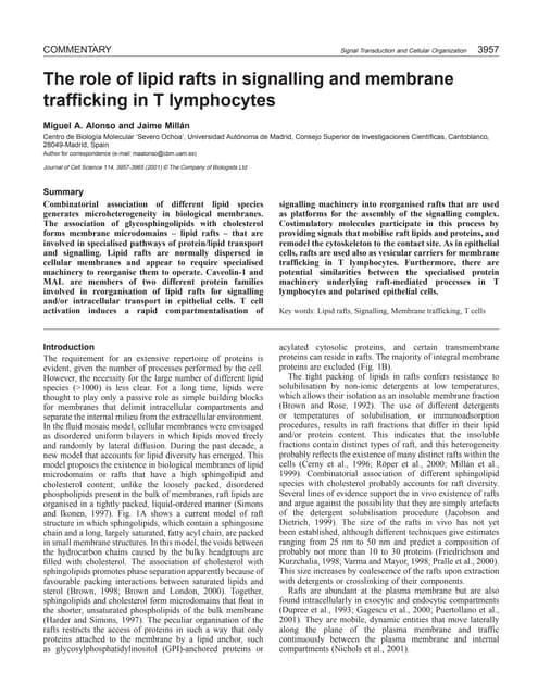 Liposomal gene delivery system | PPT