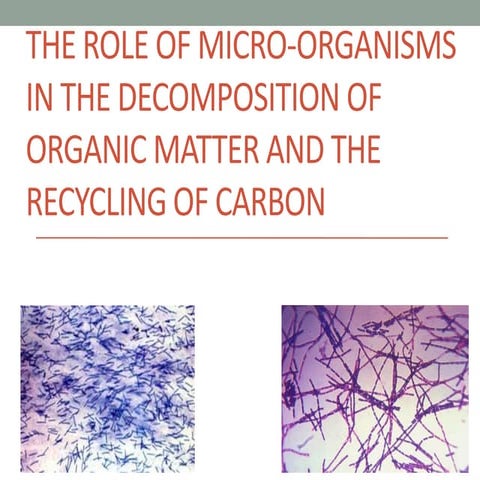 The Role of Micro-Organisms in the Decomposition of Organic Matter and ...