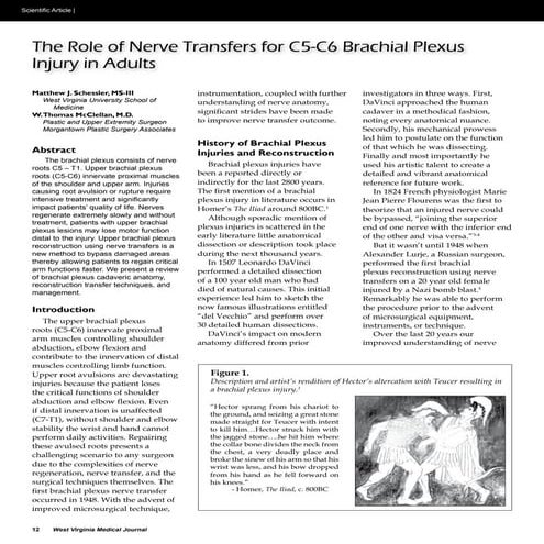 C5 C6 Nerve Transfers for Brachial Plexus Injury | PDF | Death, Injury ...