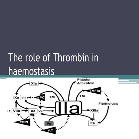 The role of thrombin in coagulation | PPTX