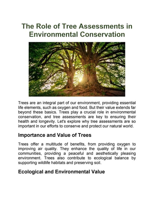 Evaluating-tree-health-techniques-and-best-practices-for-sustainable ...