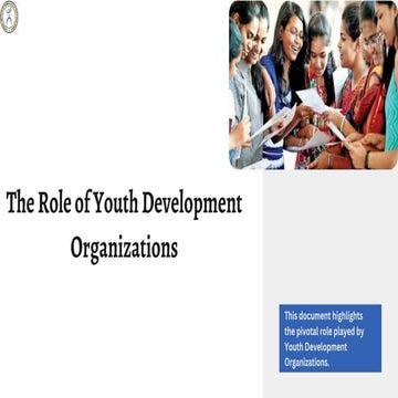 The Role of Youth Development Organizations.pdf | Non-Profit ...