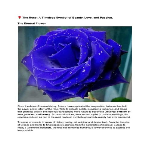 🌹 The Rose_ A Timeless Symbol of Beauty, Love, and Passion.pdf
