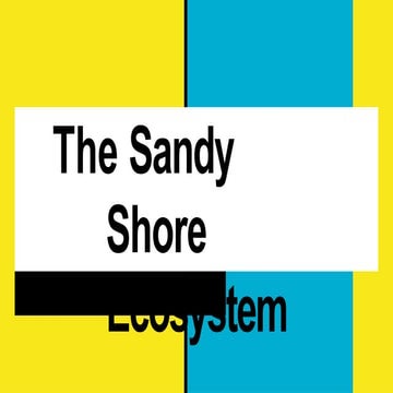 The Sandy Shore Ecosystem PowerPoint.pptx