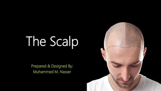 scalp anatomy -layers and applied aspects | PPTX