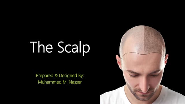 Scalp : Nerve & Blood Supply . | PPTX