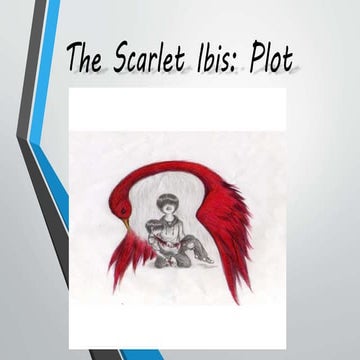 The scarlet ibis: Plot | PPT