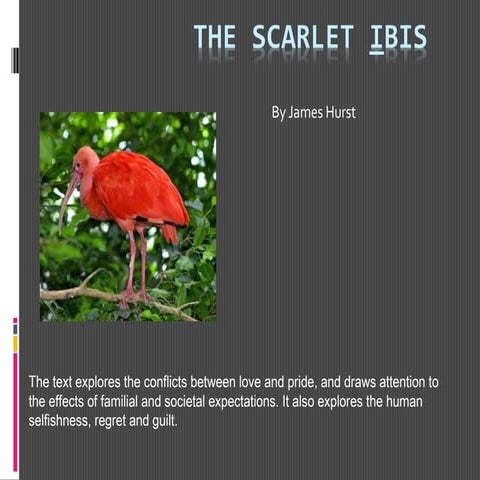 The scarlet ibis introductioninlms | PPT