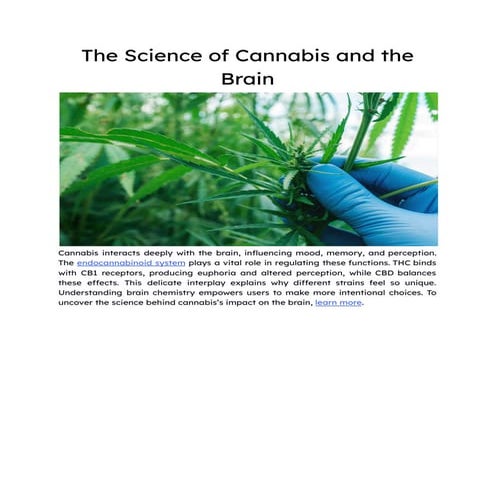 The Science of Cannabis and the Brain.pdf